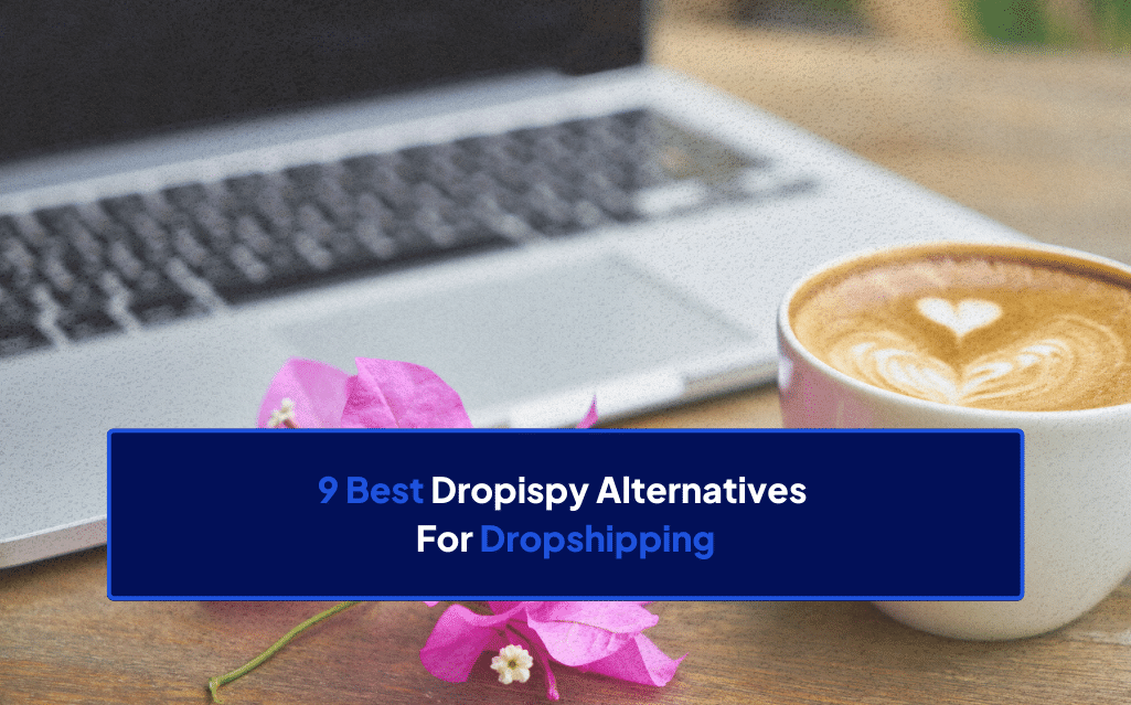 9 Best Dropispy Alternatives For Dropshipping | Dropship